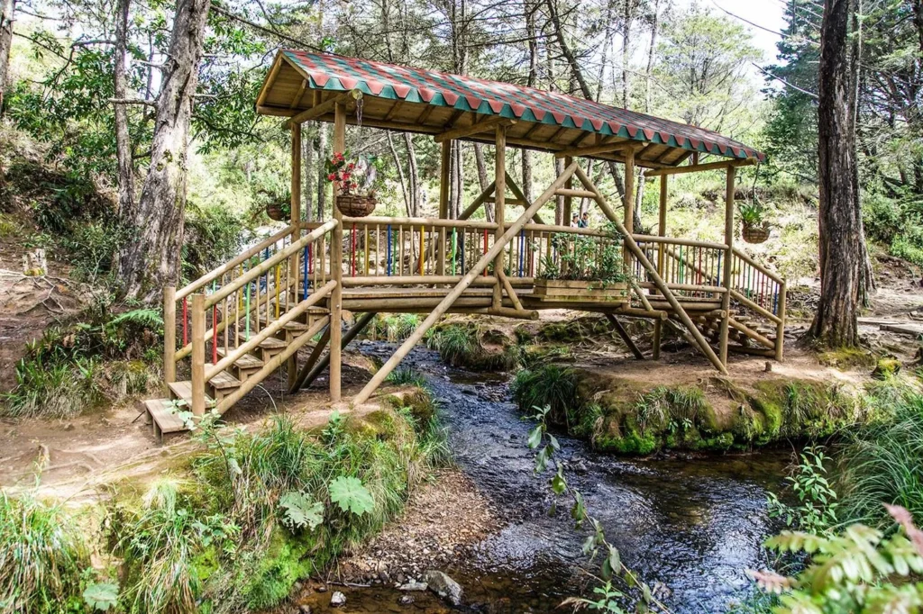 Découvrez le Parc Arvi de Medellin en Colombie [ agosto 2025 ]